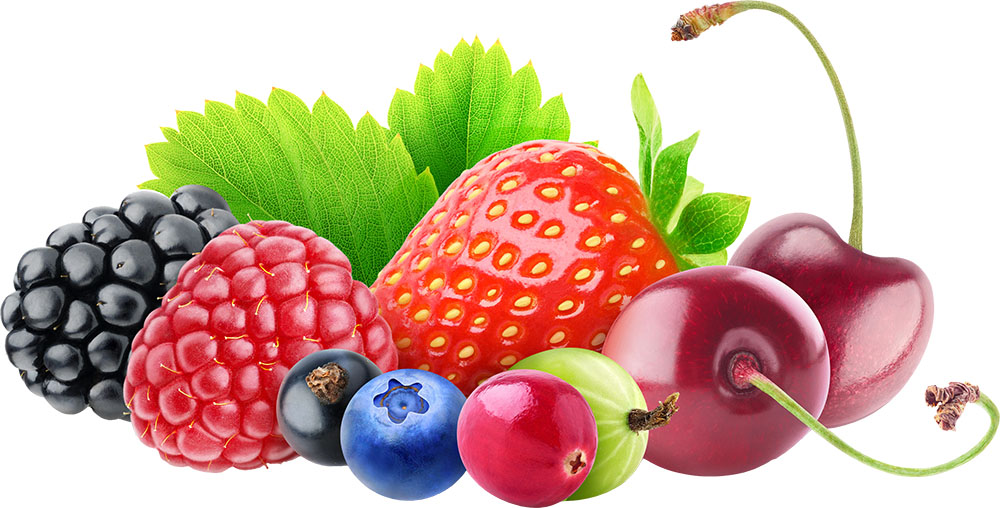 I nostri prodotti - Slomp Snc